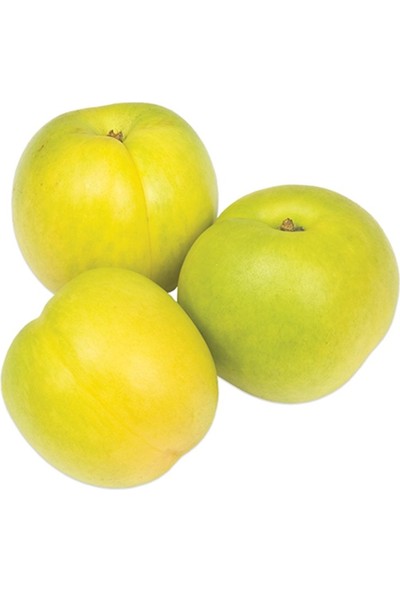 Sebze Meyve Dünyası Beyaz Nektari 500 gr