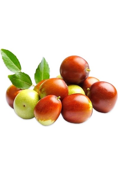 Hünnap Iri Boy Taze 1 kg