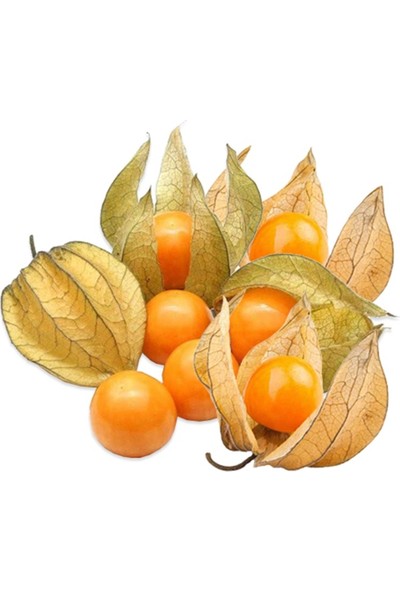 Sebze Meyve Dünyası Altın Çilek 100 gr