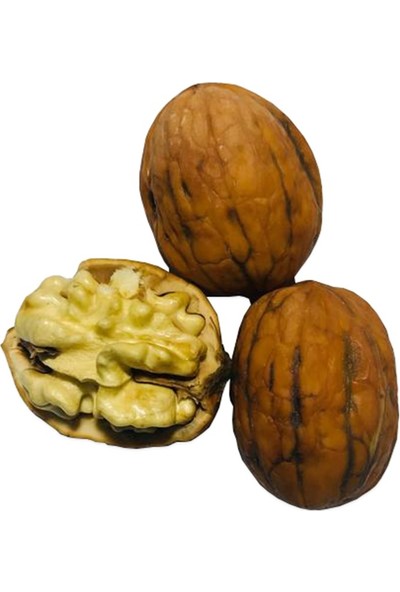 Sebze Meyve Dünyası Taze Yaş Ceviz kg Sebze Meyve Dünyası Taze Yaş Ceviz kg