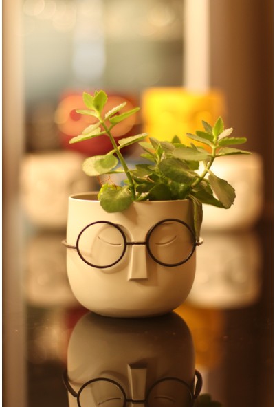 Little Lemur Profesör Masa Üstü Saksı /kalem Kutusu Little Lemur Profesör Masa Üstü Saksı /kalem Kutusu