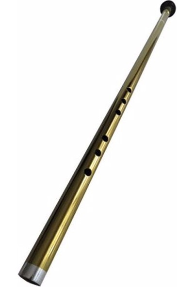 Aydın Müzik Gold Renk Şık Parlak Metal Ney