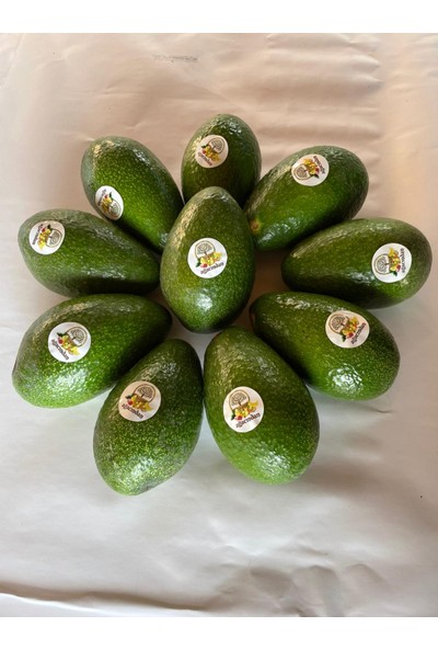 Ağacından Taptaze 10'lu Avokado