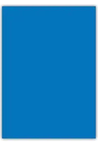 Abka Cilt Kapağı Mavi 100'lü