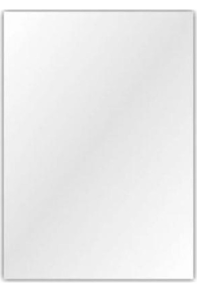 Abka Cilt Kapağı Şeffaf 100'lü