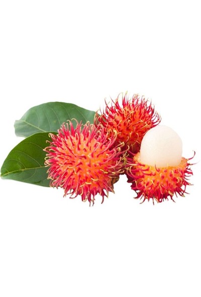 Sebze Meyve Dünyası Rambutan 3'lü