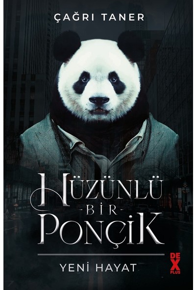 Hüzünlü Bir Ponçik - Yeni Hayat - Çağrı Taner Hüzünlü Bir Ponçik - Yeni Hayat - Çağrı Taner
