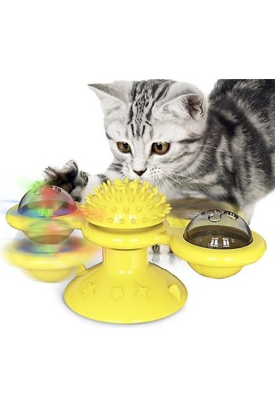 Bdz Mall Eğitici Kedi Aktivite Oyuncağı (Yurt Dışından) Bdz Mall Eğitici Kedi Aktivite Oyuncağı (Yurt Dışından)