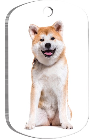 Altın Pati Akita Köpek Künyesi Altın Pati Akita Köpek Künyesi