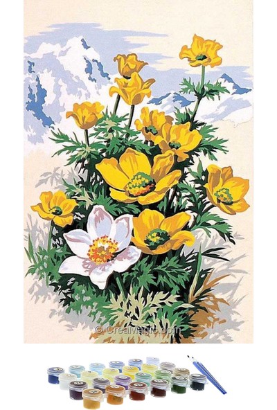 Peak Hobby Çiçekler Çerçevesiz Sayılarla Boyama Seti 40 x 50 cm