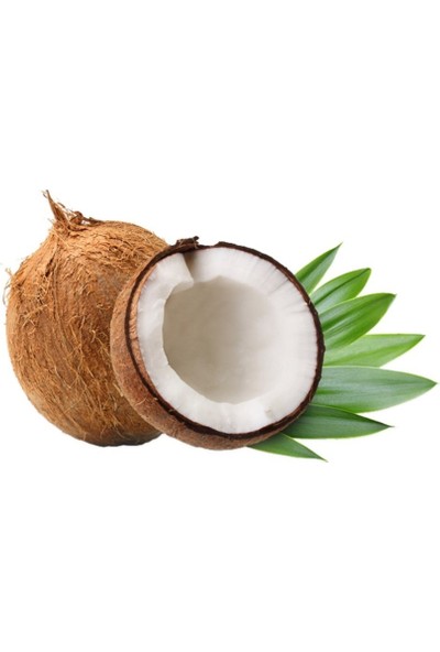 Sebze Meyve Dünyası Hindistan Cevizi 1'li