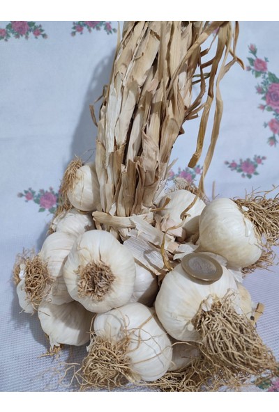 Taşköprü Sarımsağı Mürdük Üreticisinden Duble Boy Ata Tohum Taşköprü Sarımsak