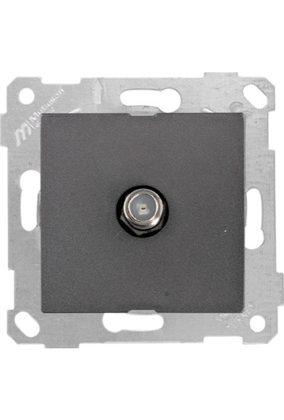 Mutlusan Rita Füme Tv Prizi F Dişi (Mkz)