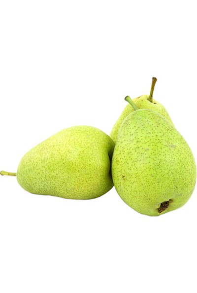 Sebze Meyve Dünyası Armut Santamaria (Kg)