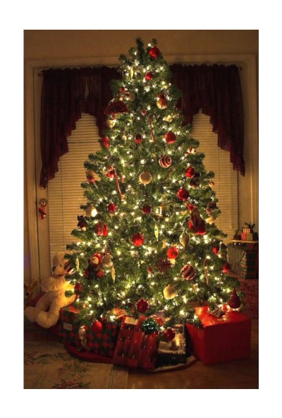 Newstore Home 100 Ledli Günışığı Renkli 10 mt LED Yılbaşı Ağaç Süsü Newstore Home 100 Ledli Günışığı Renkli 10 mt LED Yılbaşı Ağaç Süsü