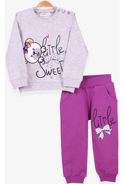 Breeze Kız Çocuk Eşofman Takımı Ayı Nakışlı Açık Gri (1-4 Yaş)