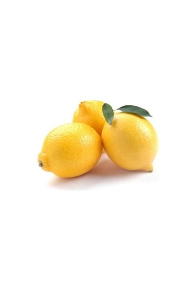Biokent Organik Sertifikalı Limon 1kg