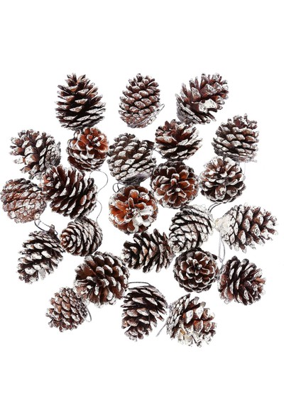 Rshower 24 Adet Noel Çam Kozalakları (Yurt Dışından)