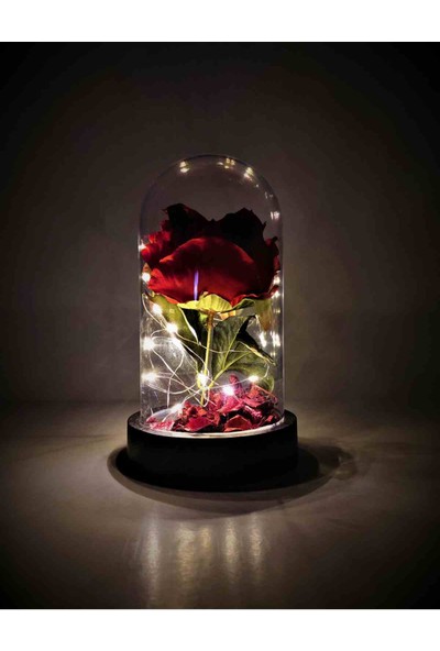 Bycansu Ters Fanus Tek Gül Işıklı Teraryum
