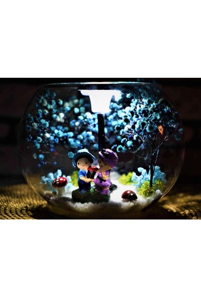 Bycansu Işıklı Fanus Süpriz Yapan Çift 2 Teraryum