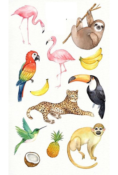 Zobar Markt Laptop Sticker Seti