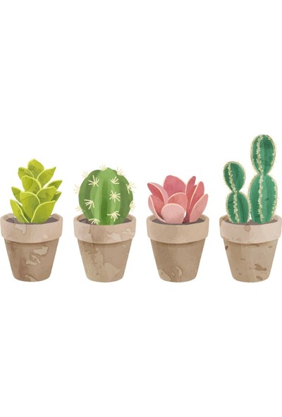 Zobar Markt Kaktüs Temalı Laptop Etiketi