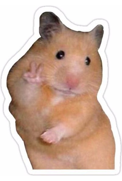 Zobar Markt Zobarmarkt Defter Ajanda Planner Laptop Sticker, 5 cm Zobar Markt Zobarmarkt Defter Ajanda Planner Laptop Sticker, 5 cm