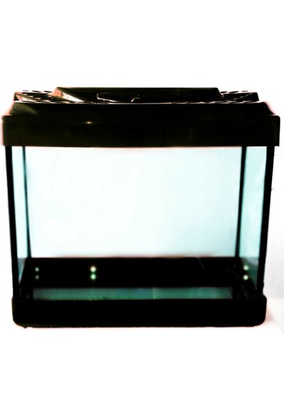 Dayı Pet Mini Akvaryum 22,5 x ,17,5 x 11,5 cm