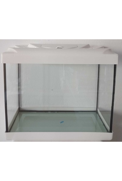 Dayı Pet 30 cm Renkli Kapak Akvaryum 30 x 26 x 13 cm