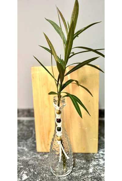 Missi 15 cm Ince Cam Vazo Missi 15 cm Ince Cam Vazo