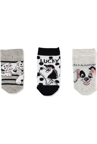 Disney Minnie Mouse 3lü Soket Çorap