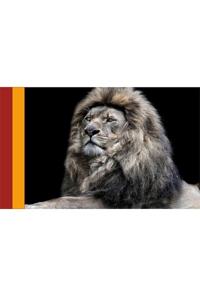 Hazar Bayrak Aslan Baskılı Poster 100X150CM