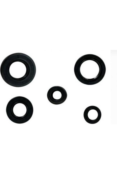 Monero Yamaha 125 Keçe Takımı