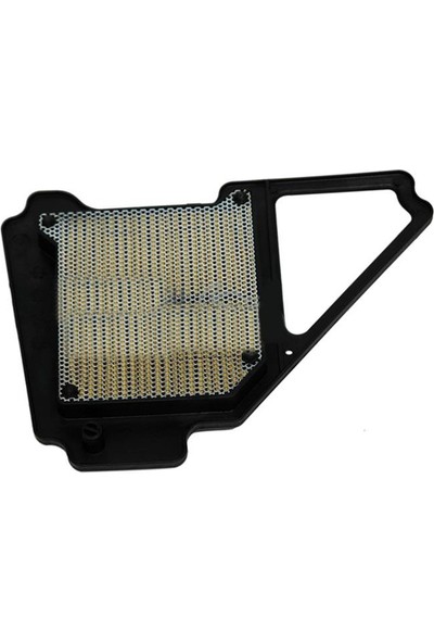 Monero Yamaha Ybr 125 Hava Filtre Elemanı - 2008