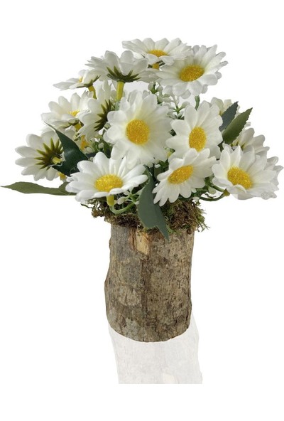 Nettenevime Yapay Çiçek Doğal Kütük Odun Saksıda Beyaz Papatya Masa Çiçeği Nettenevime Yapay Çiçek Doğal Kütük Odun Saksıda Beyaz Papatya Masa Çiçeği