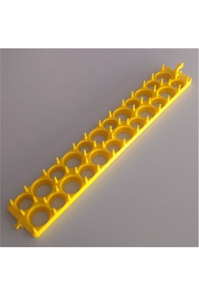 Evcil Sanal Market 24 Gözlü Bıldırcın Viyolü Yaprağı Evcil Sanal Market 24 Gözlü Bıldırcın Viyolü Yaprağı