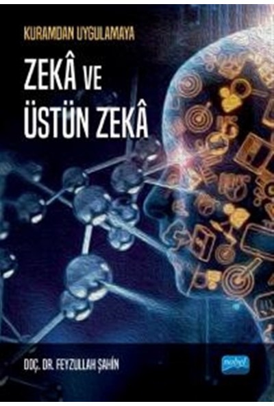Zeka ve Üstün Zeka - Feyzullah Şahin