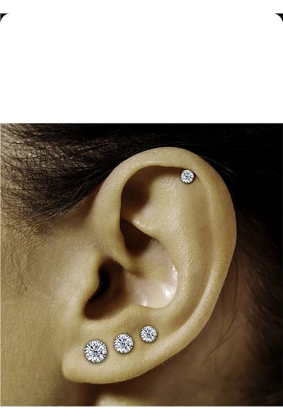 Begonia Accessories 925 Ayar Gümüş yuvarlak zirkon taşlı küpe ( 4 çift)