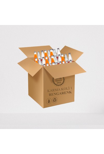 Gazozcu Amca Karışık Karma Koli 24'lü Gazozcu Amca Karışık Karma Koli 24'lü