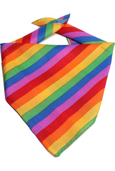 Cetinaccessories Ükb-Çizgili Gökkuşağı Desen Tasarım Kare Bandana Cetinaccessories Ükb-Çizgili Gökkuşağı Desen Tasarım Kare Bandana