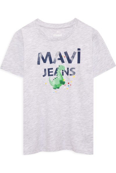 Mavi Erkek Çocuk Dinazor Baskılı Gri Tişört 6631733397