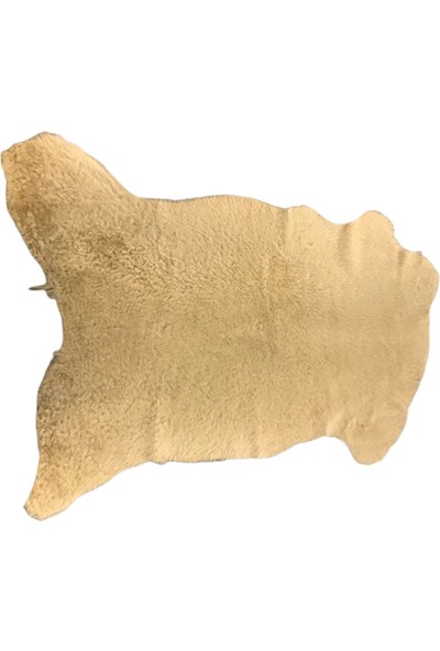 Ln-Leather Medikal Gerçek Koyun Postu Kısa Tüylü