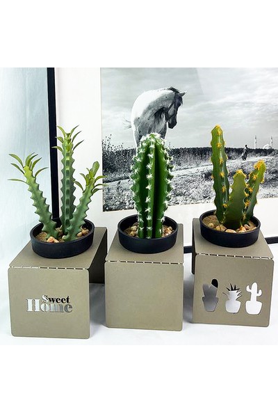 Dedo Dekoratif Obje Metal Saksıda Üçlü Saksılı Yapay Sukulent