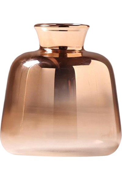 F Fityle Nordic Stil Cam Çiçek Vazo (Yurt Dışından)