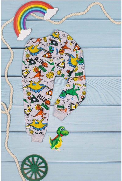 Erkek Çocuk Dinazor Tek Alt Gri