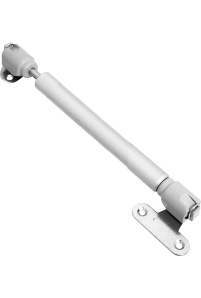 Frekans Gazlı Amortisör 80 N