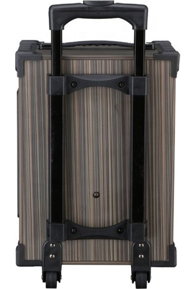 Glr LT-910 Kablosuz 2 Mikrofonlu Kablosuz Hoparlör