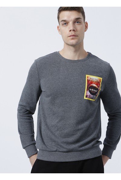 National Geographic Bisiklet Yaka Standart Kalıp Baskılı Gri Melanj Erkek Sweatshirt - I-Alone