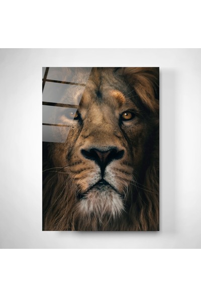 Digi-Glass Aslan Cam Tablo Digi-Glass Aslan Cam Tablo