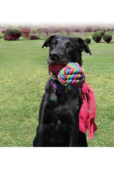 Kong Köpek Wubba Weaves Sesli Oyuncak x l 43cm Kong Köpek Wubba Weaves Sesli Oyuncak x l 43cm